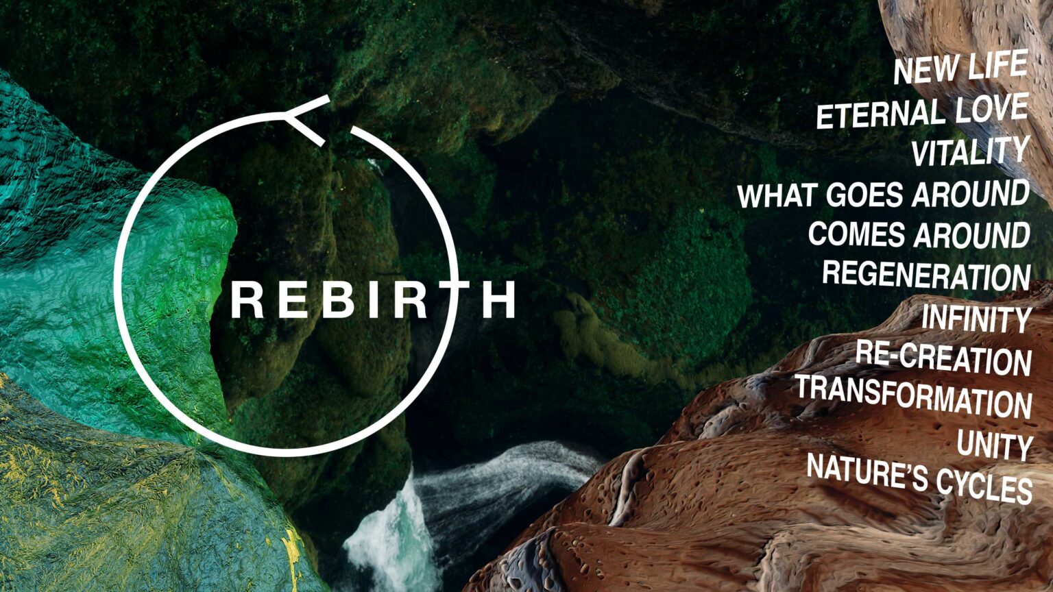 REBIRTH studio exhibition - Sealed Earth